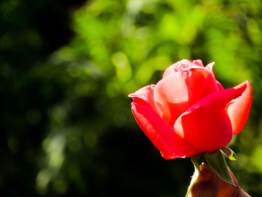 妊娠30週に突入！出産準備おおづめです | daisy-blog